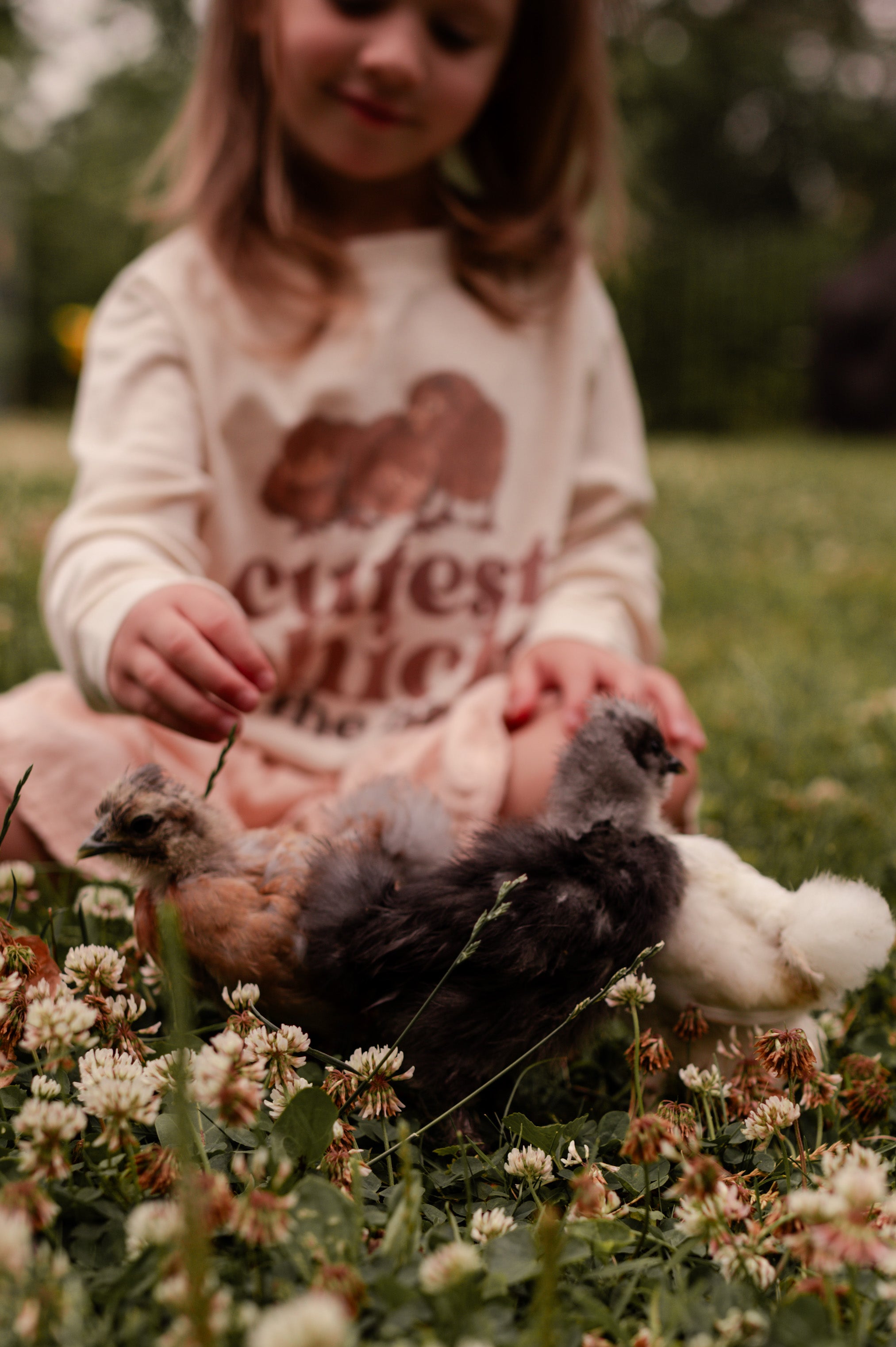 Picking the Right Chicks: What to Know BEFORE you go! – Barefoot Baby